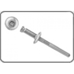 Rivets - Window Regulator